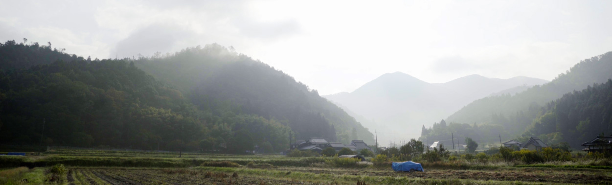 kinari glass – kinariglass